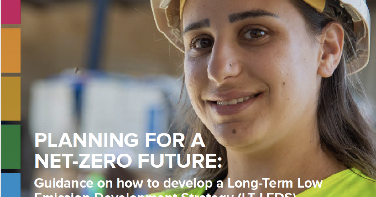 Planning for a net-zero future: Guidance on how to develop a Long-Term Low Emission Development ...